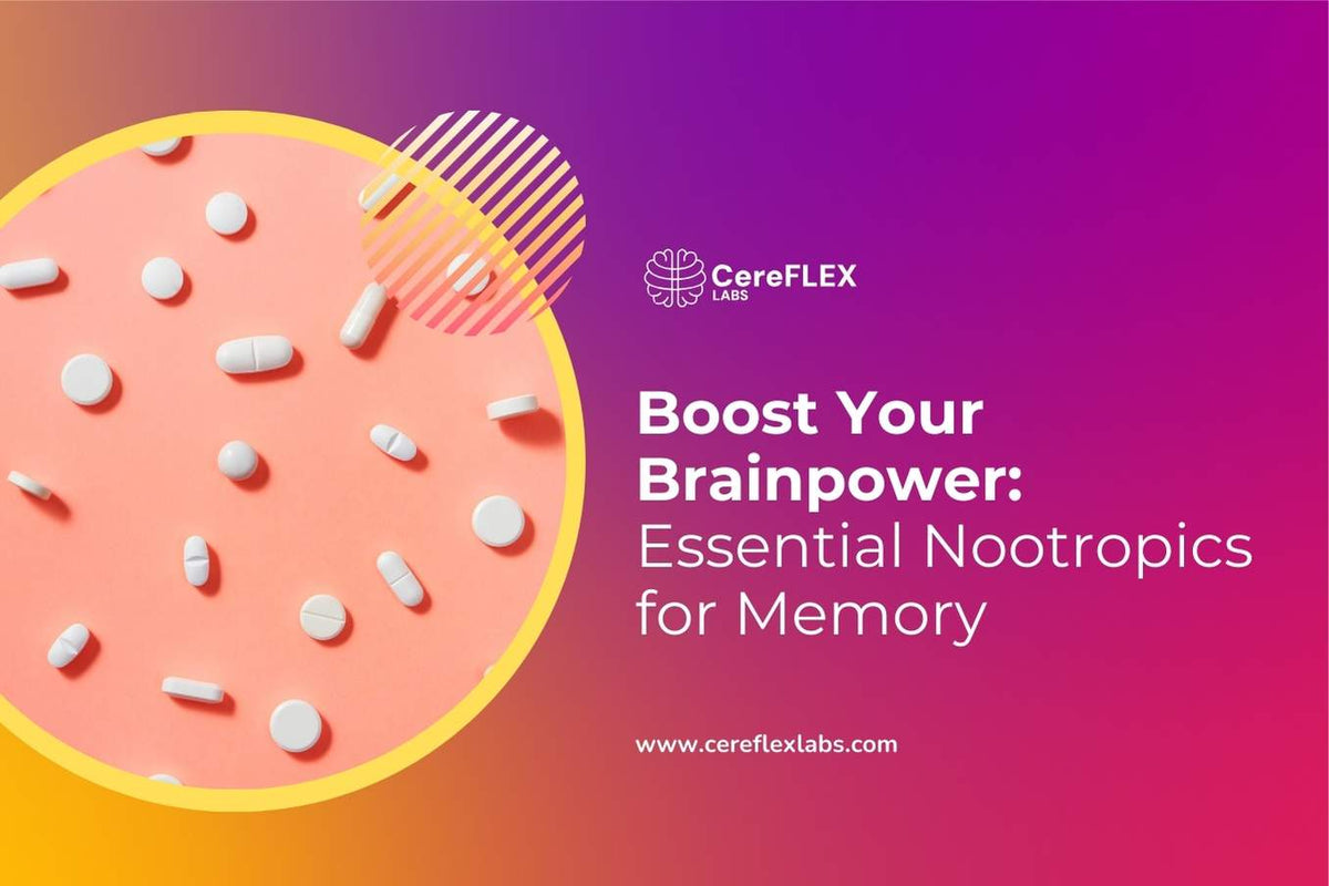 Boost Your Memory with These Effective Nootropic Supplements!