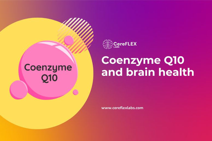 CoQ10 and Brain Health: A Guide to Cognitive Support