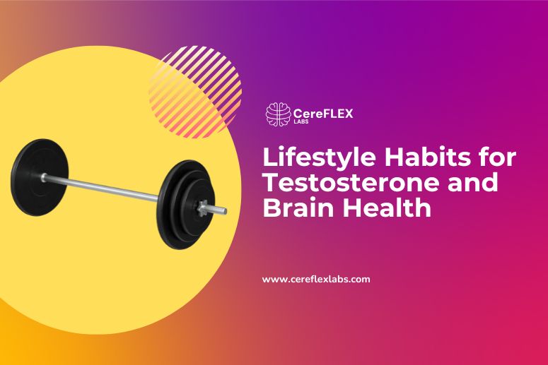 Lifestyle Habits That Boost Testosterone & Sharpen Brain Power