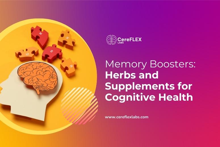 Top Effective Herbs & Supplements for Memory Support!