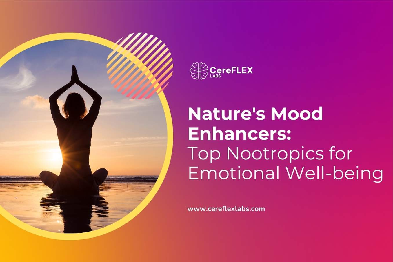 Top Natural Mood-Boosting Nootropics: This will surprise you!